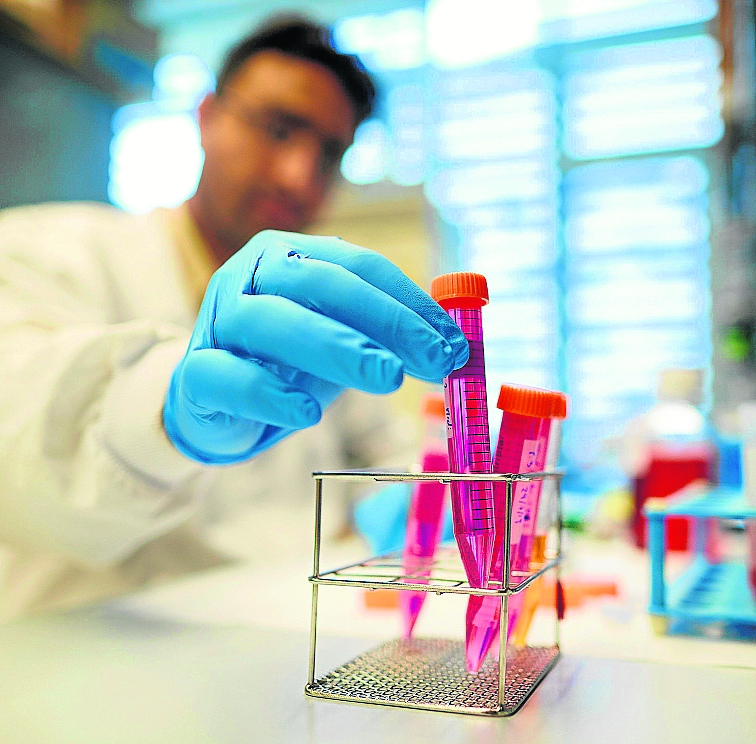 Comienza el mayor estudio en España en busca de las raíces genéticas ...