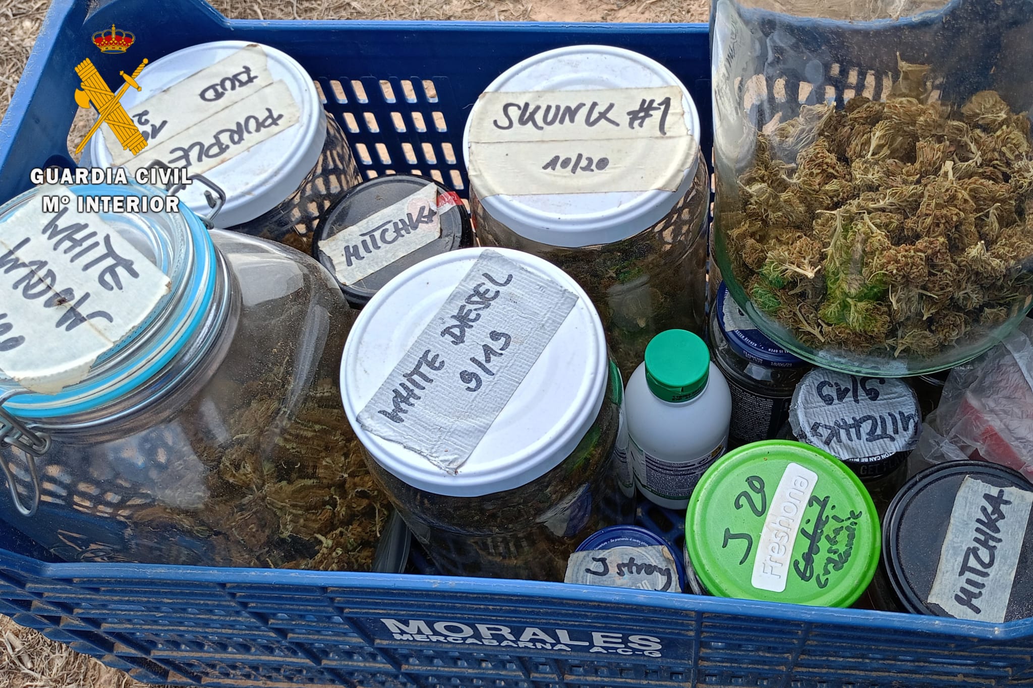 Detenido por varios robos en el Bajo Aragón Caspe y desmantelado un punto de venta de drogas en ...