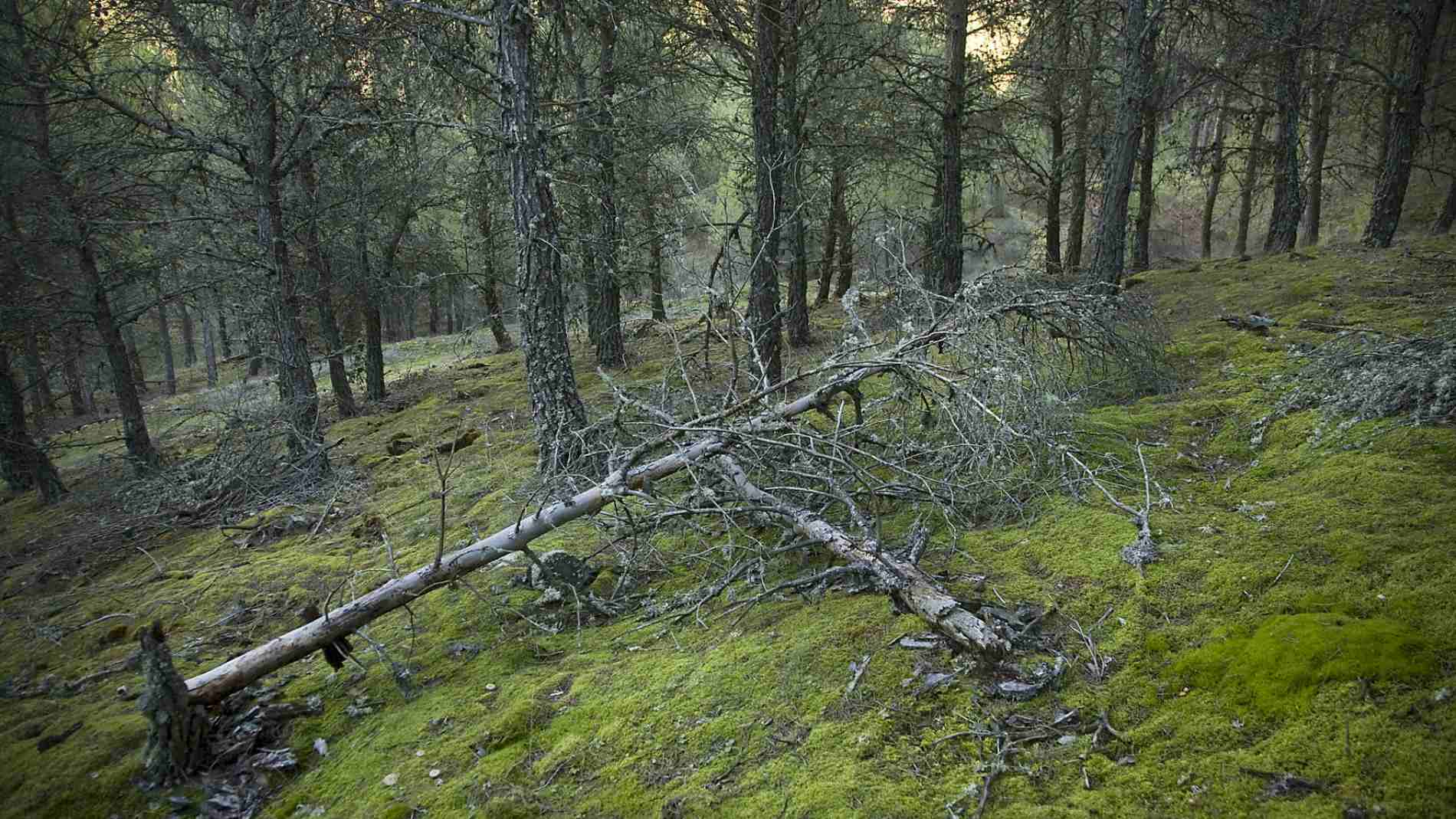 Fotos del municipio más pobre de Zaragoza, que merece una visita | Imágenes