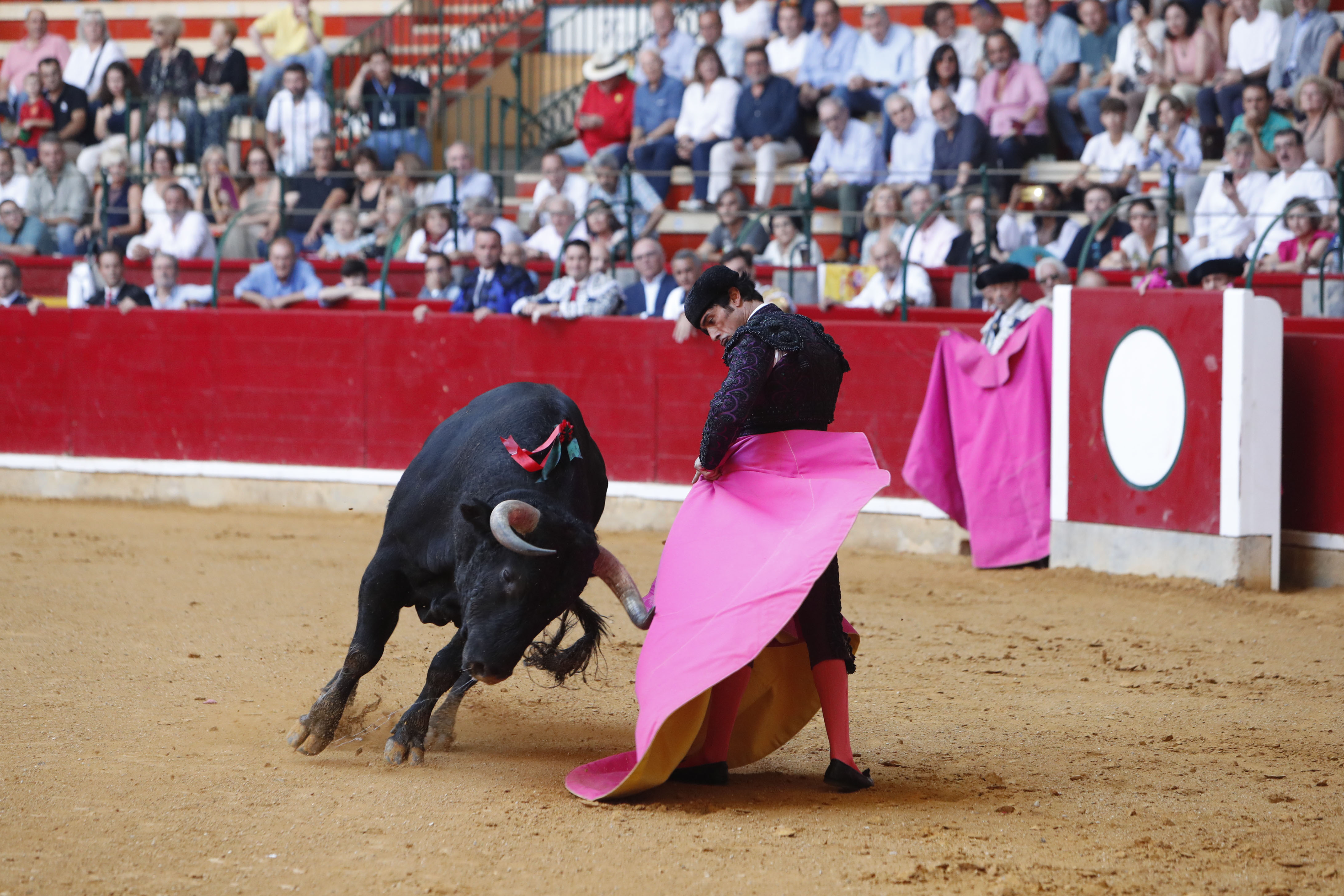 Toros, en imágenes: corrida concurso de ganadería de la Feria del Pilar ...