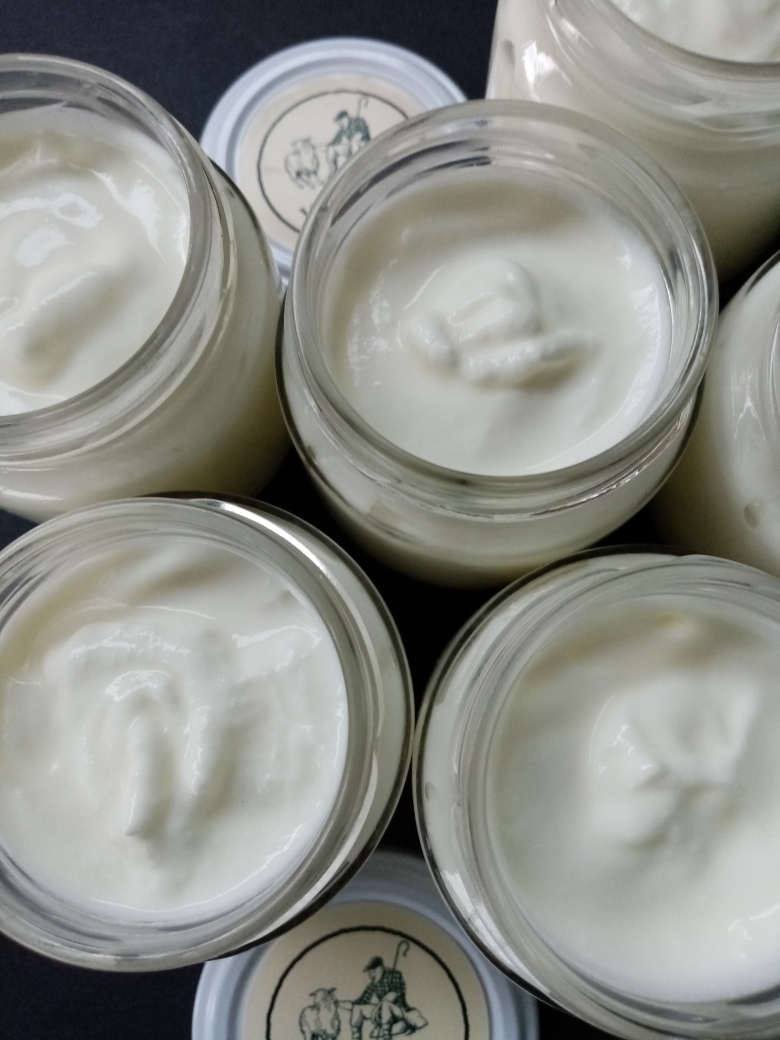 Los deliciosos yogures aragoneses