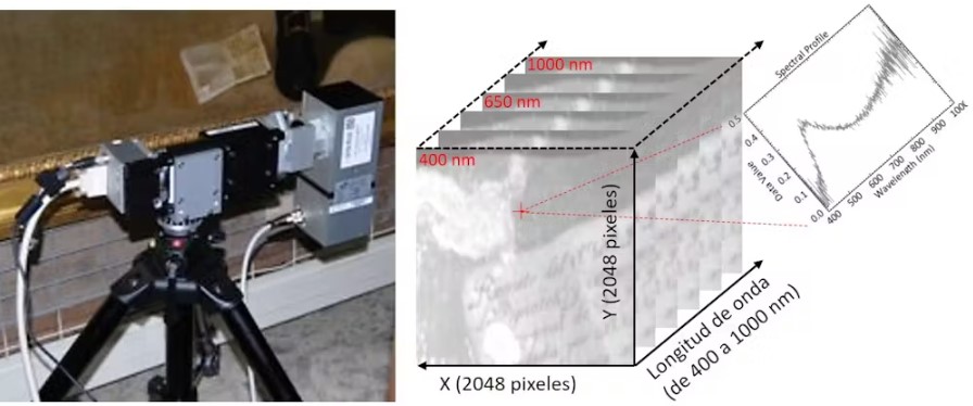 El análisis del color y la oscuridad de cuatro obras de Goya en la ...