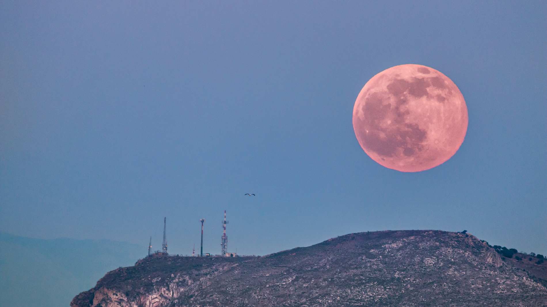 Luna llena de abril 2024: a qué hora es, cuál es su significado y cómo ...