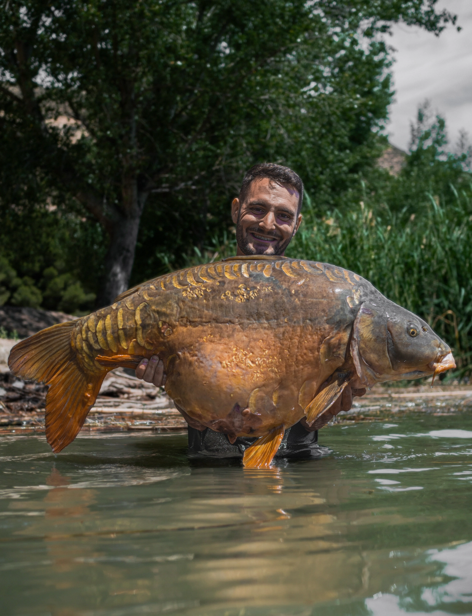 Pesca una carpa 'royal' de 27 kilos en un embalse de Zaragoza: "Es el ...