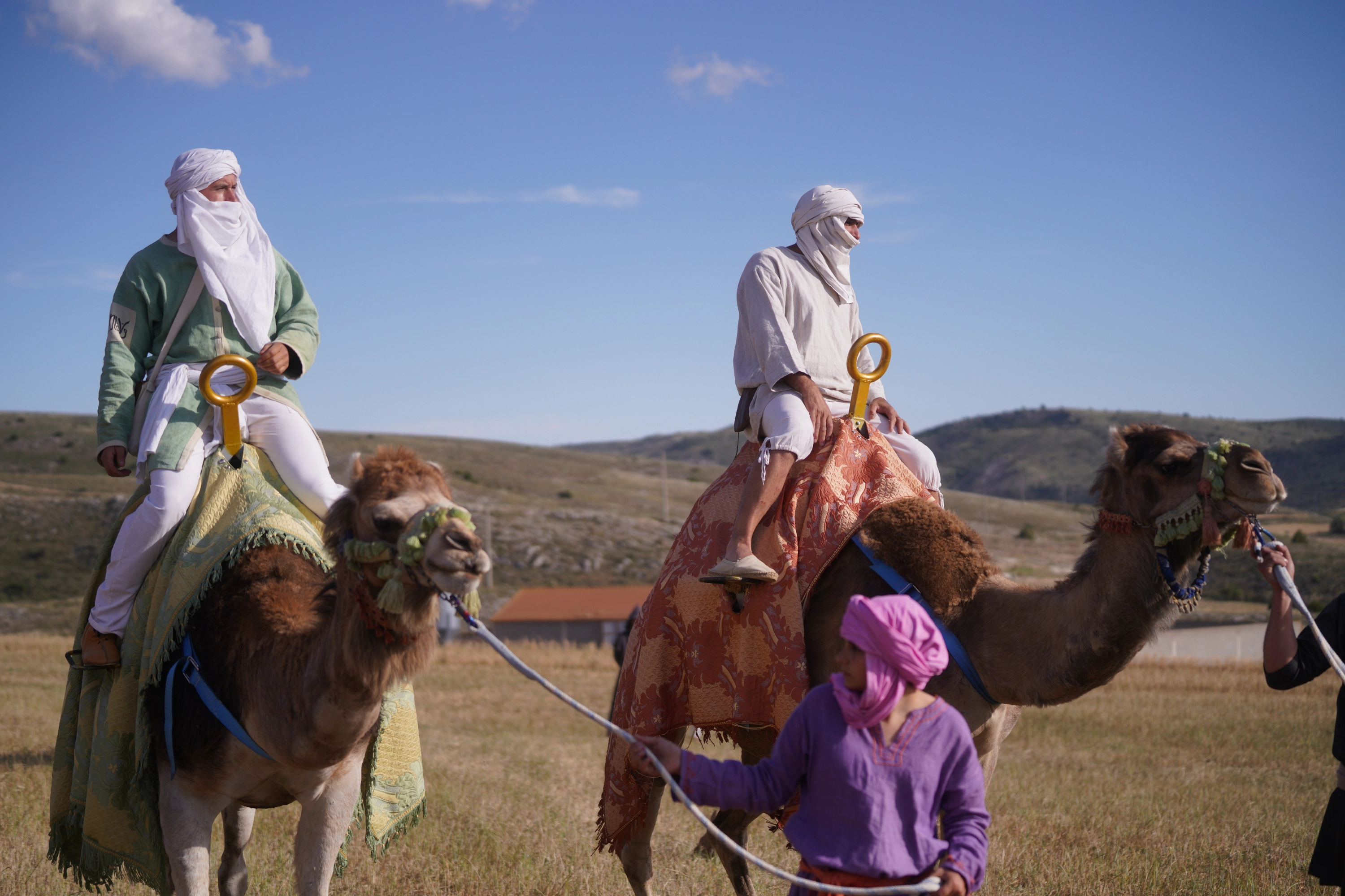 Dromedarios, los invitados estrella en la recreación de la batalla de ...