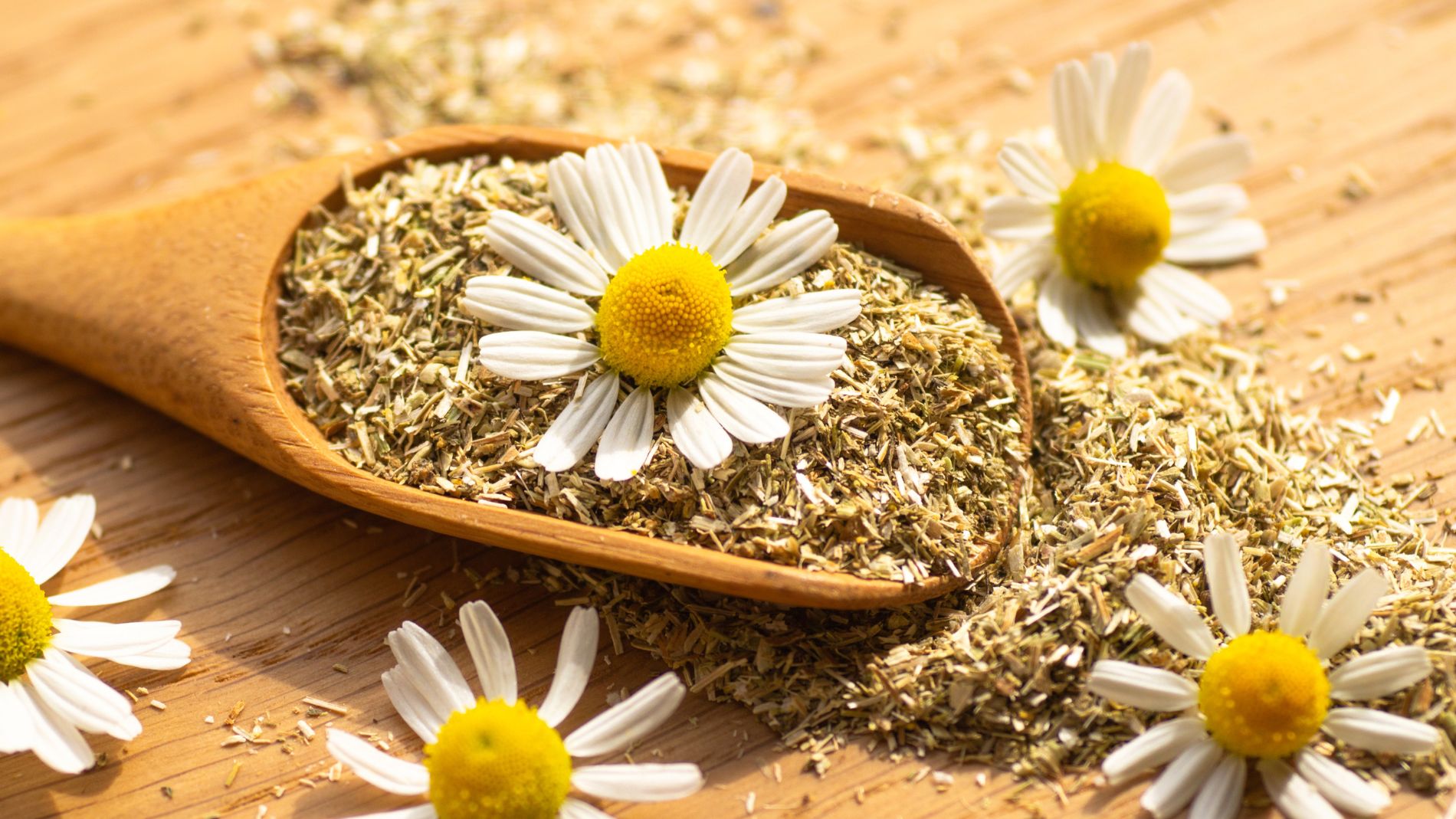 Los efectos de tomar manzanilla todos los días