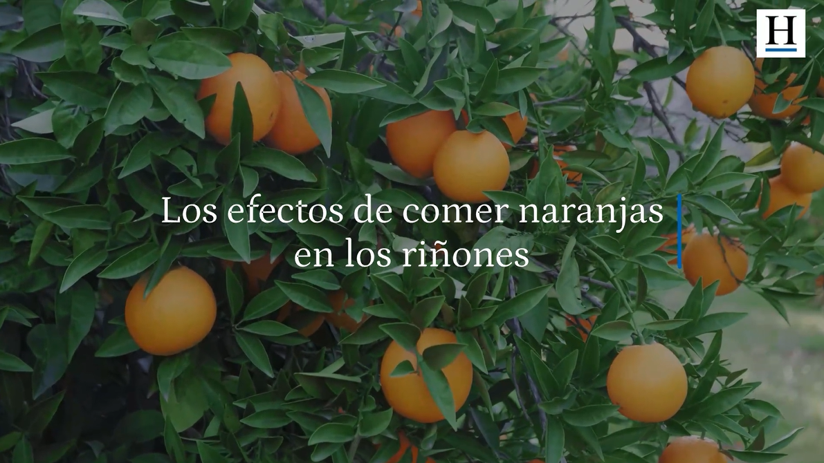 ¿Sabes cuál es el efecto en los riñones al comer naranjas cada día?