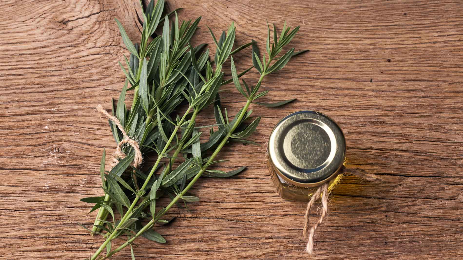 Dónde colocar una planta de romero en casa para atraer la buena fortuna ...