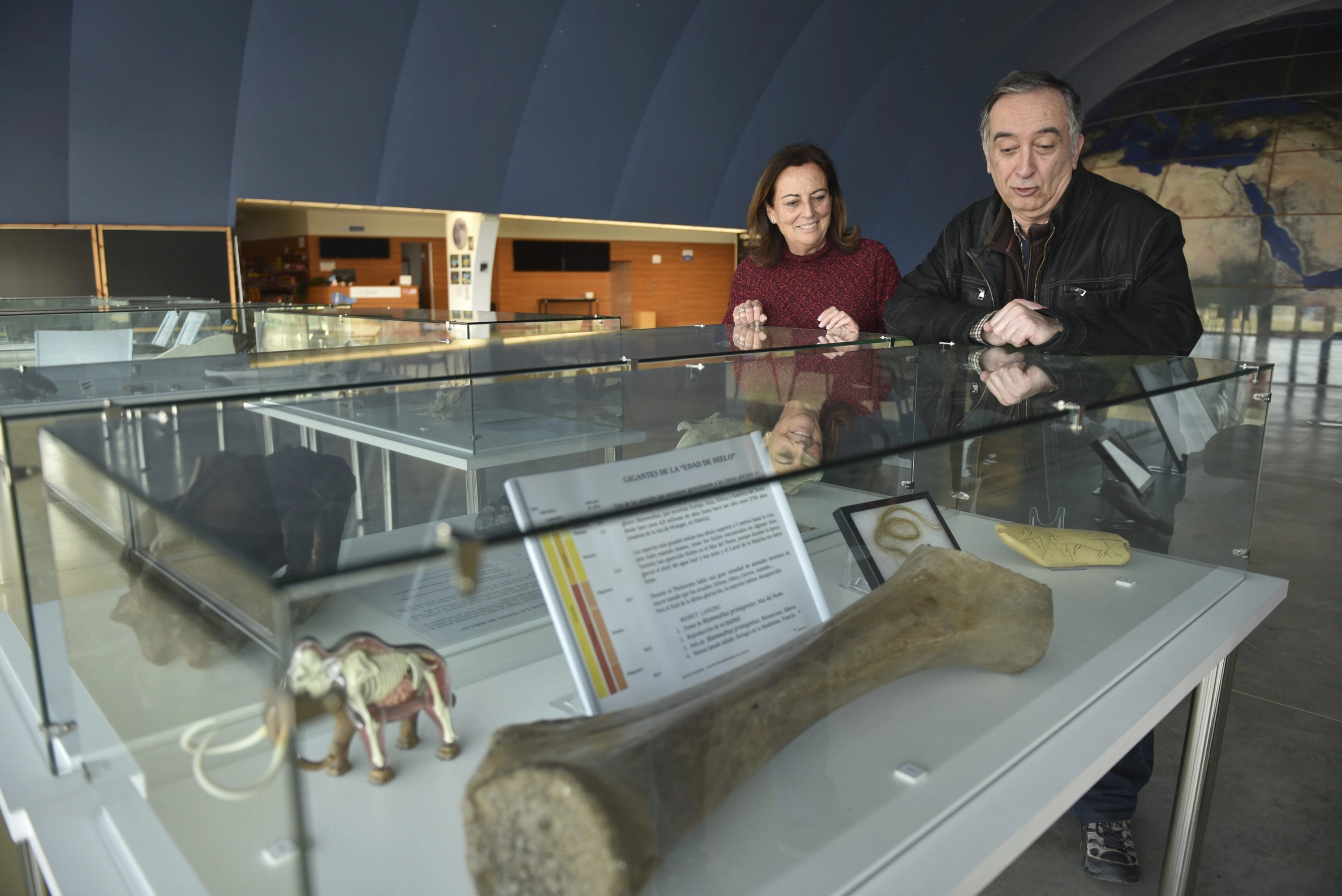 El Planetario de Aragón evoca los ‘Mundos perdidos’ con pelo de mamut ...