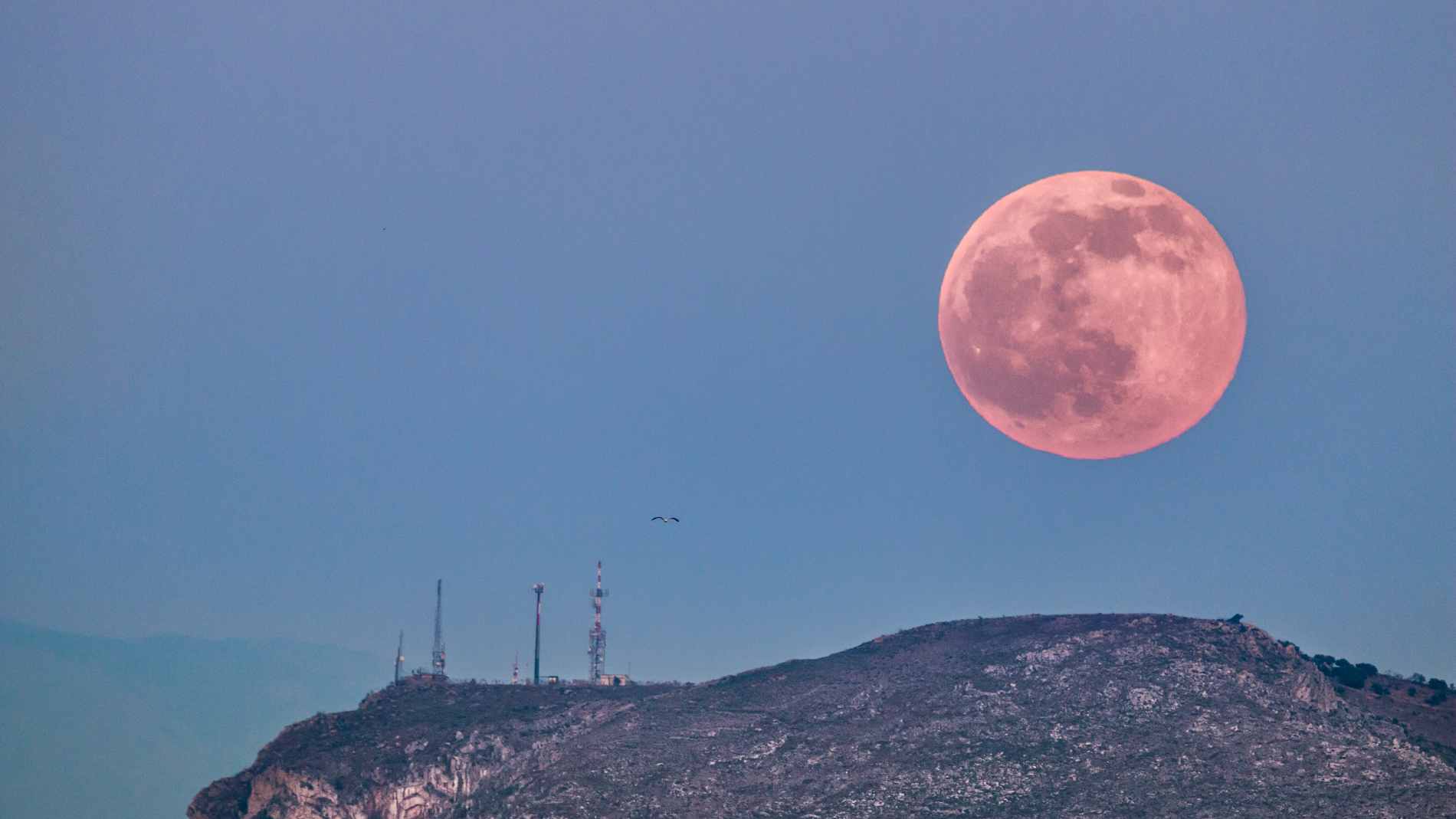 Luna Rosa de abril 2025: cuándo es y por qué se llama así la luna llena
