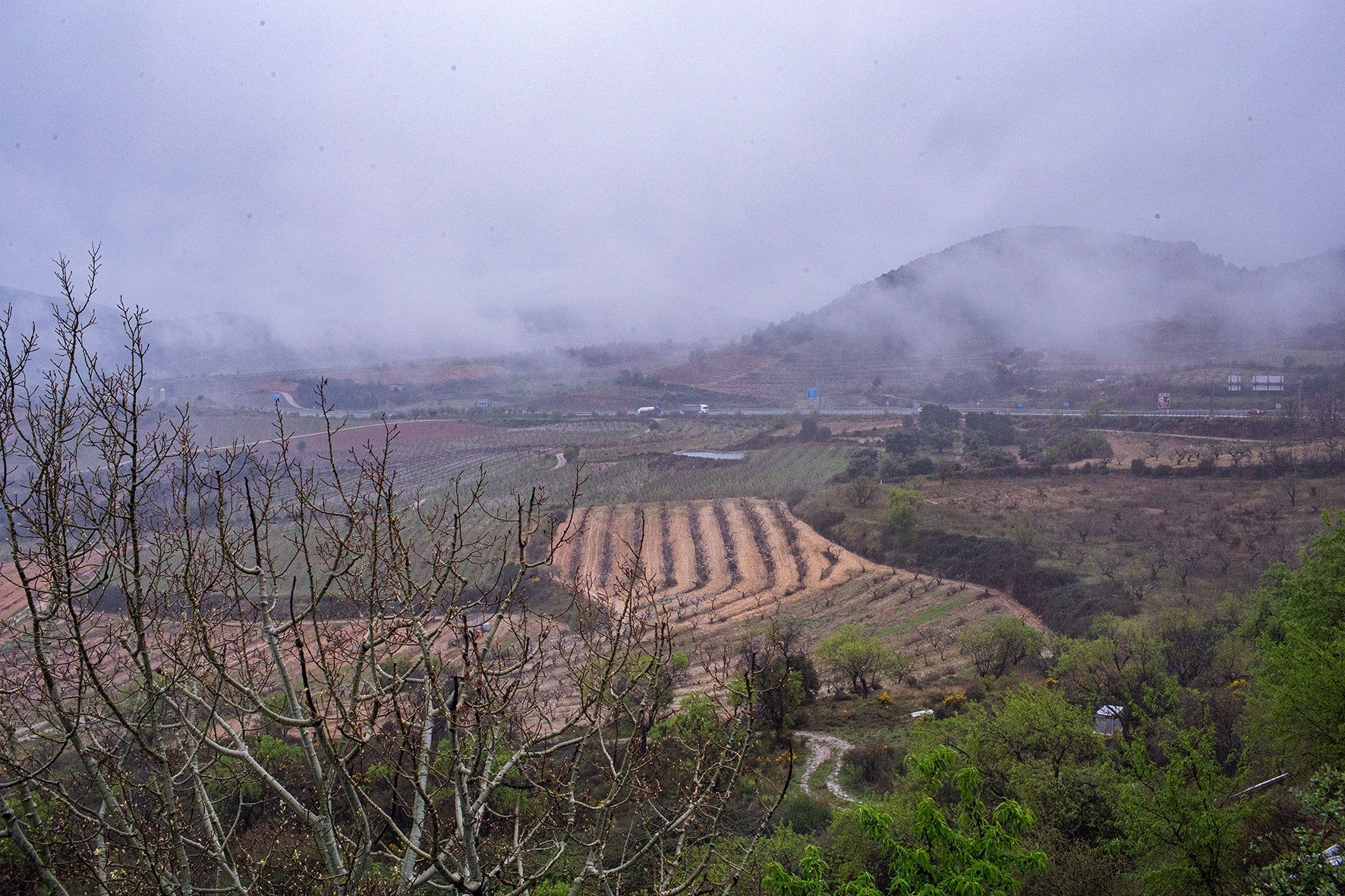 Localizan en un camino de El Frasno a un hombre desaparecido en Madrid ...