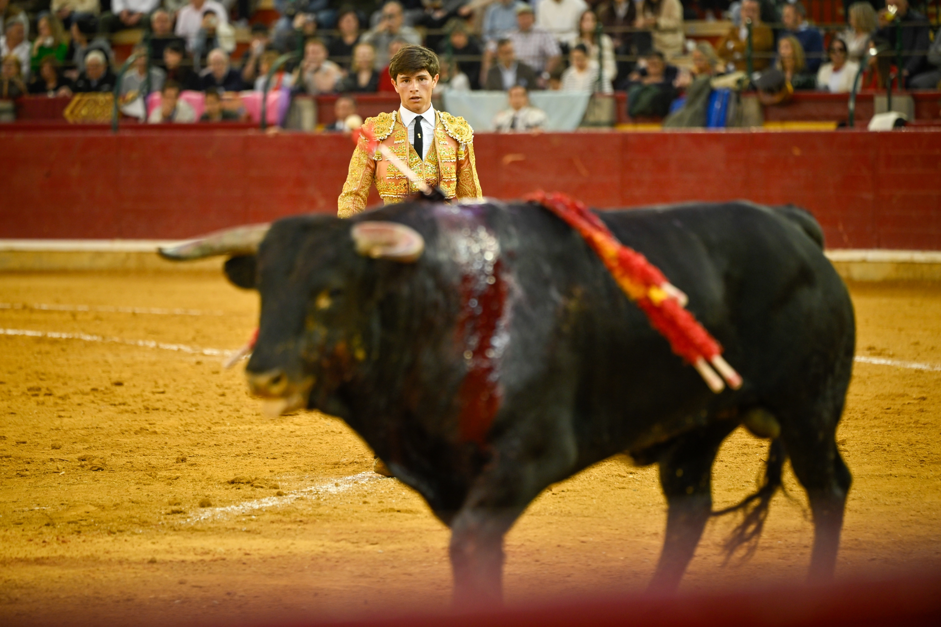 Fotos | Feria taurina de San Jorge: Cristiano Torres y Aarón Palacio en ...