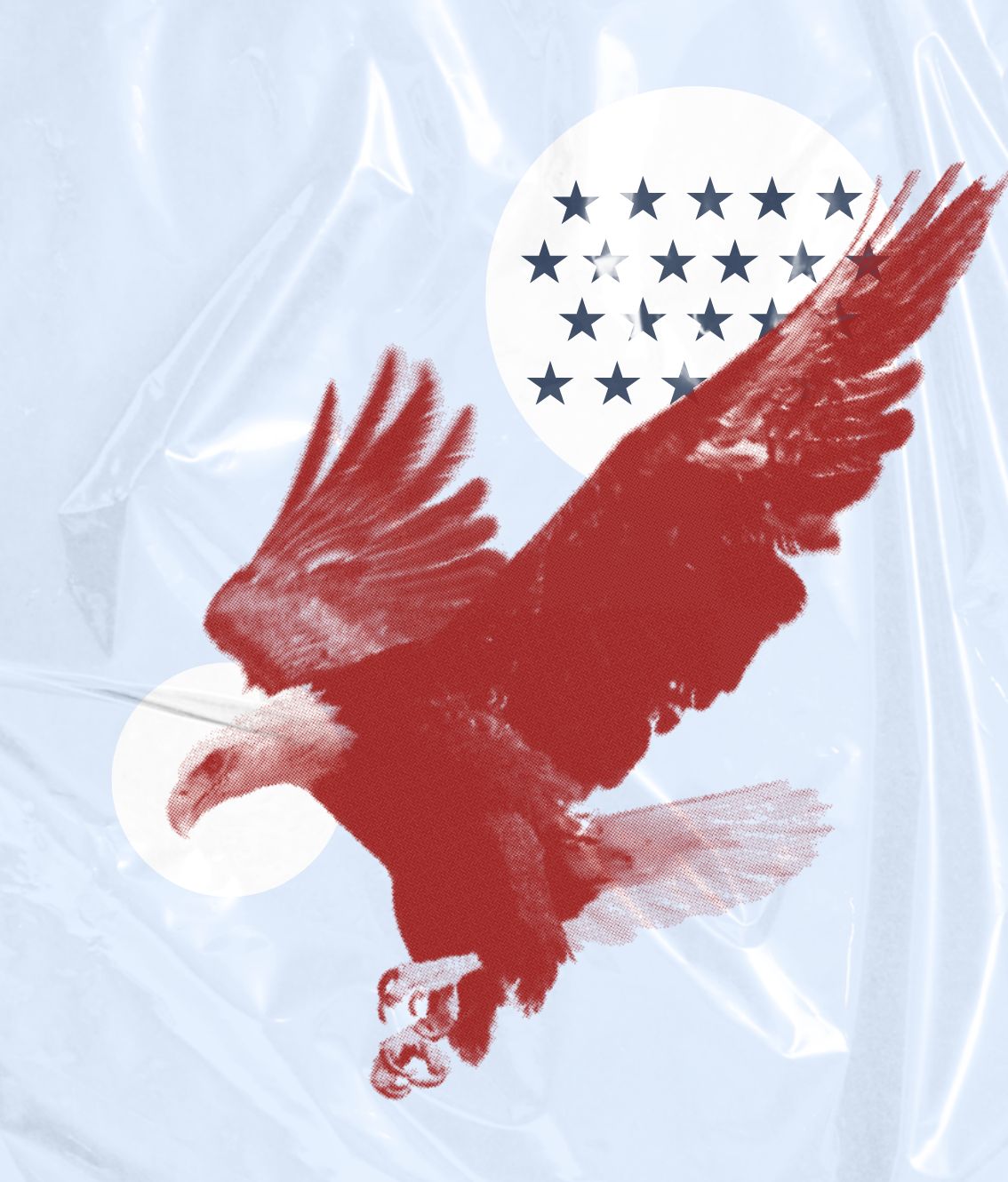 God save America | Opinión | Ana Isabel Elduque