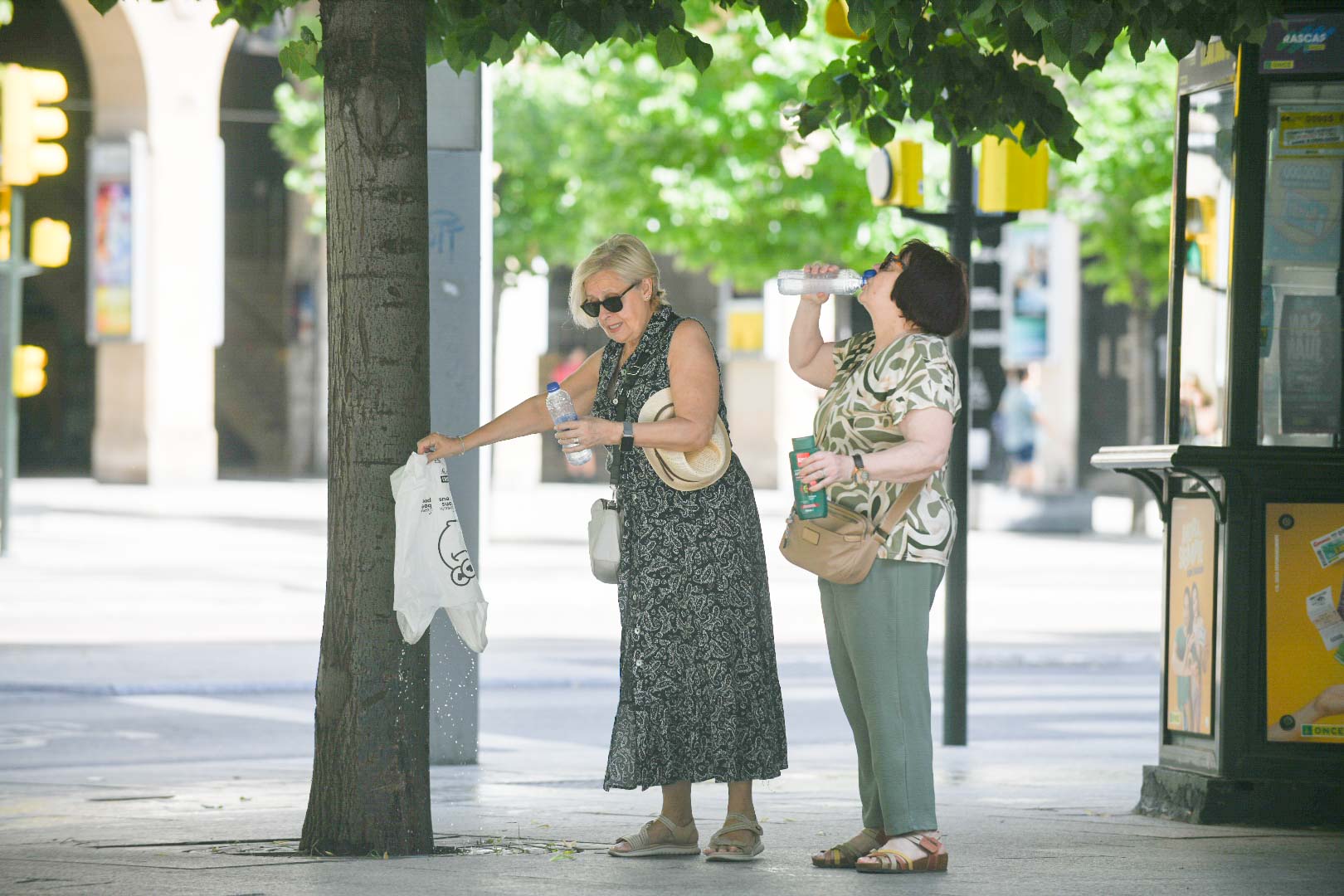 Vídeo | Comunicado urgente de la Aemet por calor: Zaragoza y Huesca, en nivel rojo de riesgo ...