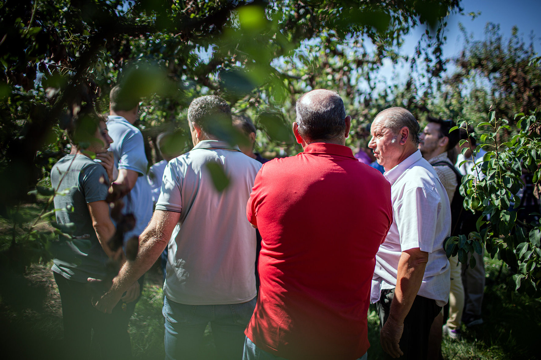 Fotos | El consejero aragonés de Agricultura de la DGA, Javier Rincón, ha visitado a los ...