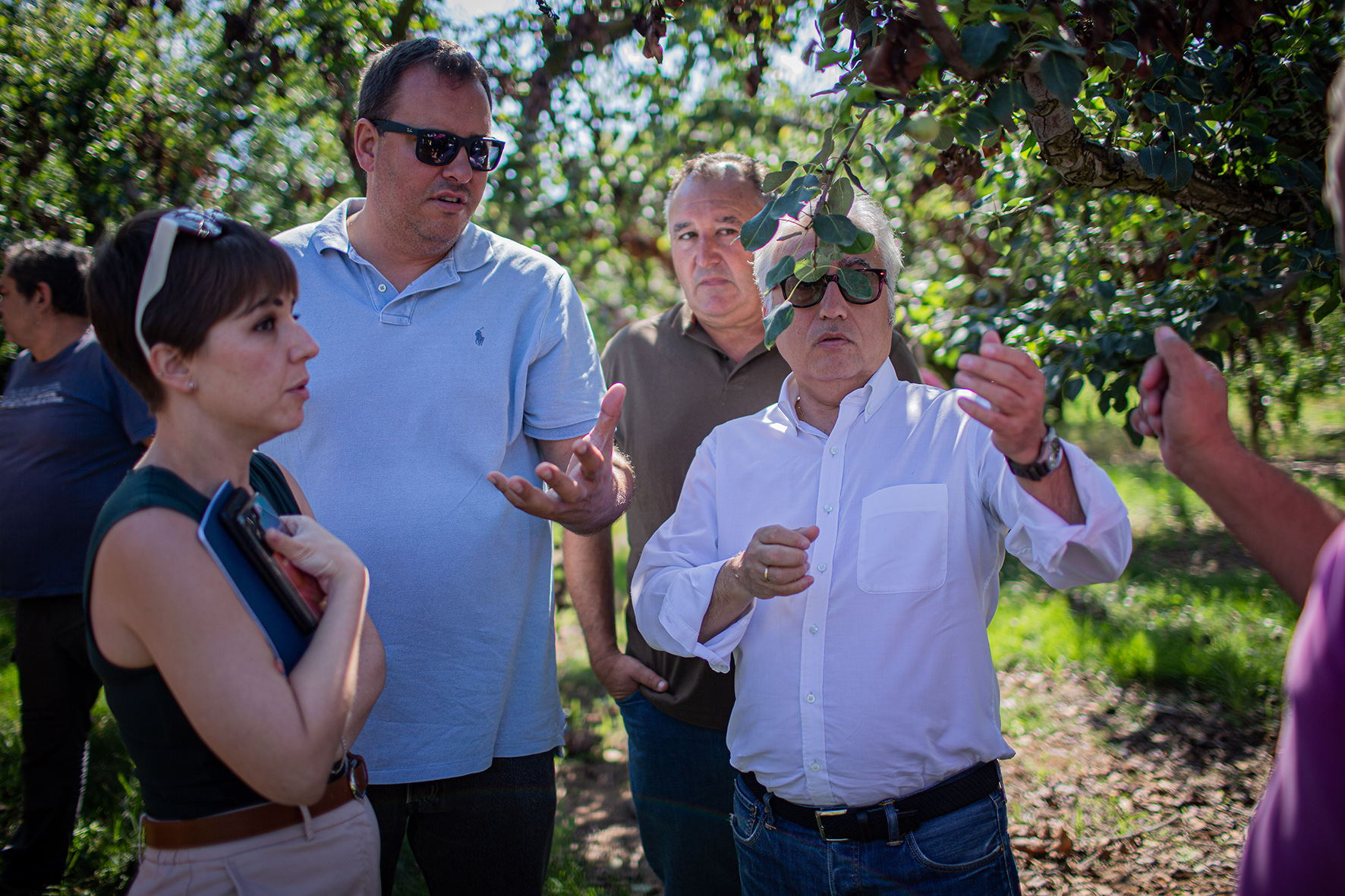 Fotos | El consejero aragonés de Agricultura de la DGA, Javier Rincón, ha visitado a los ...