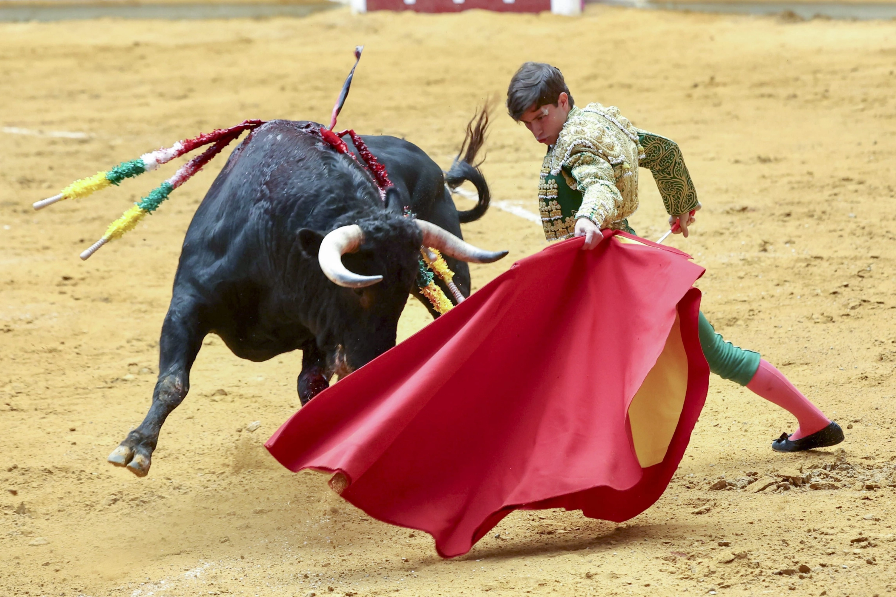 El torero aragonés Aarón Palacio gana el Trofeo Ciudad de Logroño 2025 ...