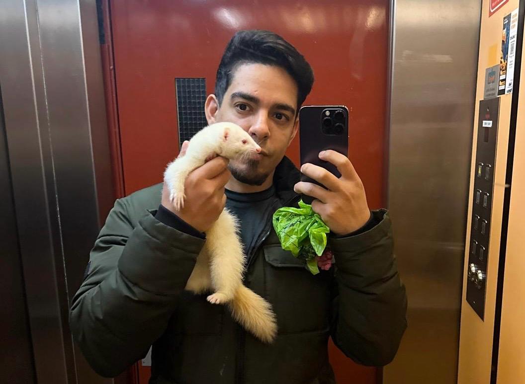 Un vecino de Zaragoza pide ayuda para encontrar a su hurona: "No puede ...